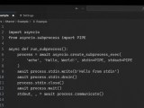 Basic Example Of Asyncio Subprocess Process Stderr In Python