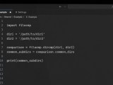 Basic Example Of Filecmp Dircmpmon Funny In Python