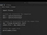 Basic Example Of Python Property Filecmp Dircmp Funny Files
