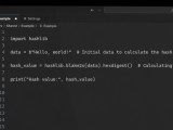 Basic Example Of Hashlib Hash Hexdigest In Python