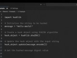 Basic Example Of Hashlib Hash Hexdigest In Python