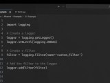 Basic Example Of Logging Logger Filter In Python