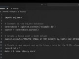 Basic Example Of Sqlite3 Blob Tell In Python