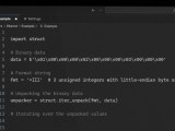 Basic Example Of Python Function Struct Struct Pack Into