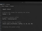 Basic Example Of Python Function Struct Struct Pack Into