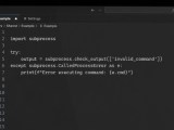 Basic Example Of Subprocess Calledprocesserror Output In Python