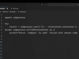 Basic Example Of Subprocess Completedprocess In Python