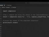 Basic Example Of Subprocess Completedprocess Args In Python
