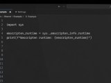 Basic Example Of Python Function Sys Executable