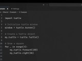 Basic Example Of Python Function Turtle Teleport