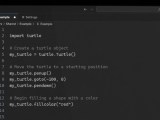 Basic Example Of Python Function Turtle Stamp