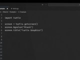 Basic Example Of Turtle Screen In Python