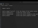 Basic Example Of Python Function Turtle Mainloop