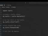 Basic Example Of Python Function Turtle Forward