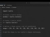 Basic Example Of Python Function Turtle Mainloop