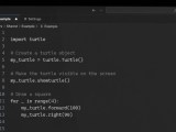 Basic Example Of Python Function Turtle Mainloop