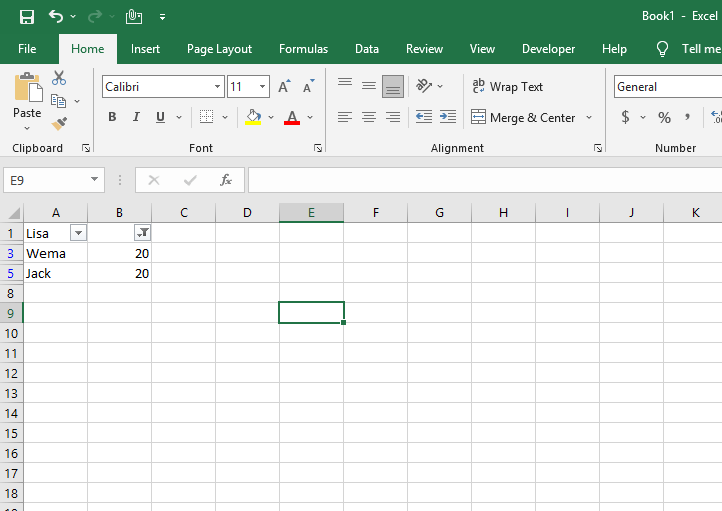 How To Delete Filtered Data In Excel Basic Excel Tutorial