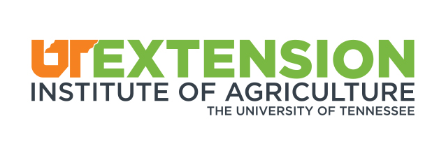 Thriving and Surviving with Cancer – BBBTV12