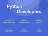 Hire Dedicated Python Developers Hire Python Programmers