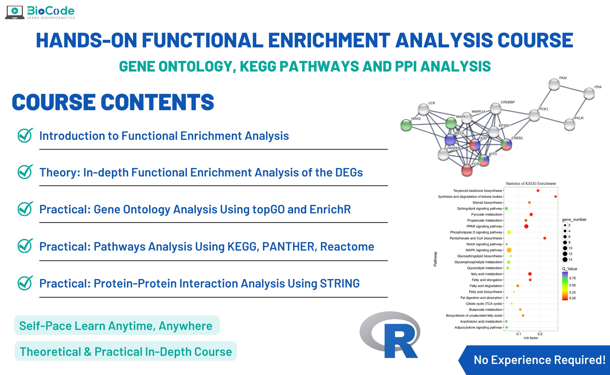 Functional Enrichment Analysis (Gene Ontology, KEGG Pathways Analysis, Protein-Protein ...