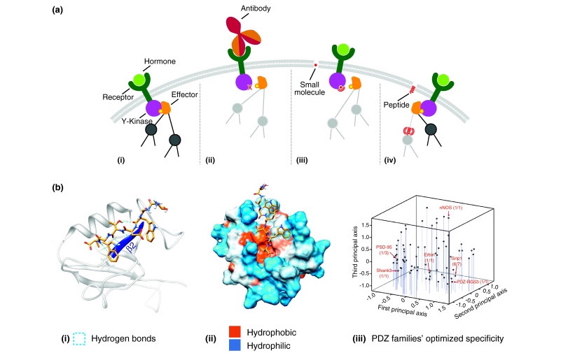 Computational Drug Discovery Services Biocode