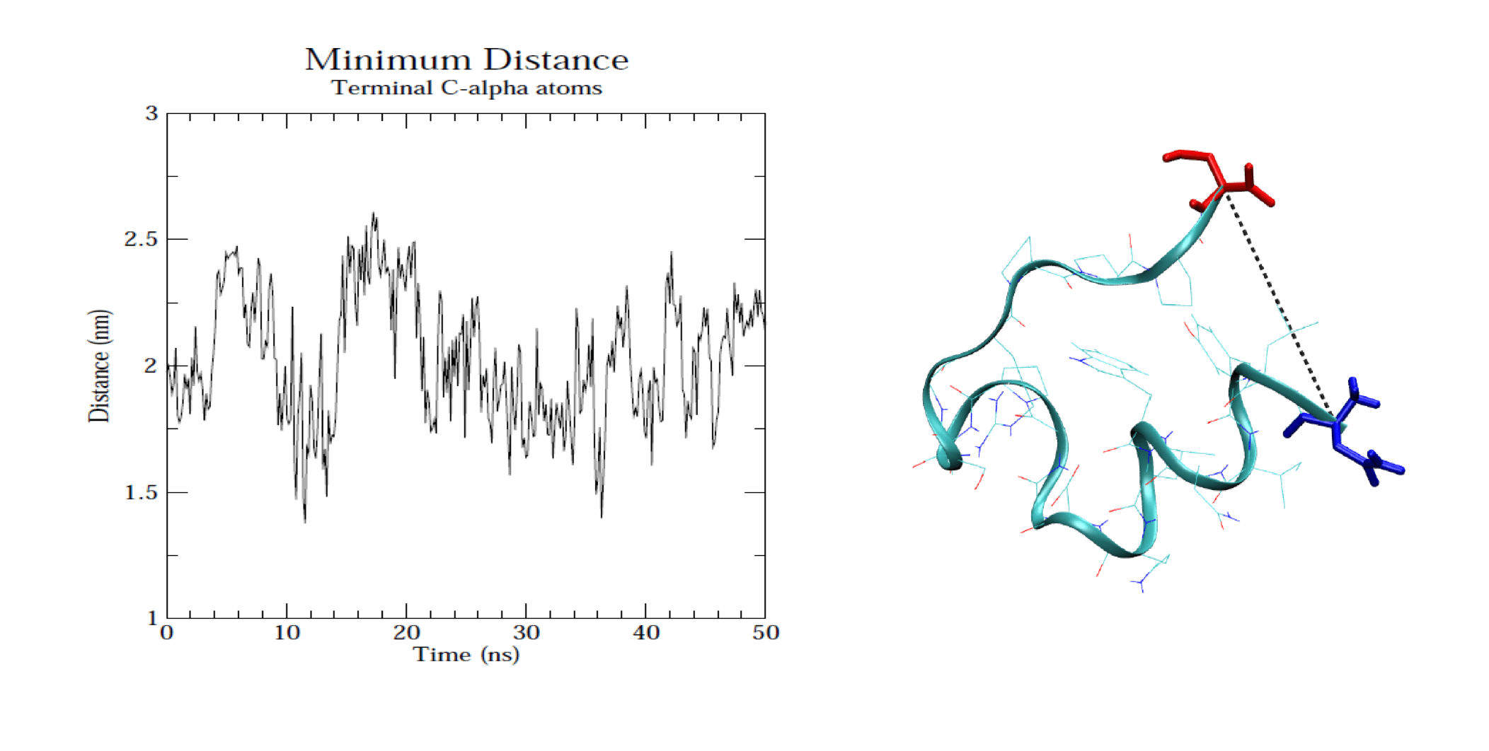 Molecular Dynamics Simulation Services Biocode