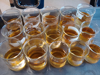 February | 2010 | Mrs. Grigar-Family & Consumer Science