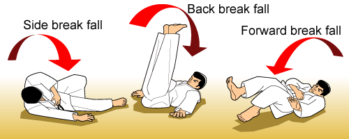 Most common injuries in Brazilian jiu jitsu, Judo and grappling: Part I ...