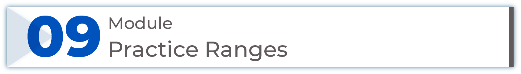 Licensed Penetration Tester - LPT (Master) - Blue Hat Corporation
