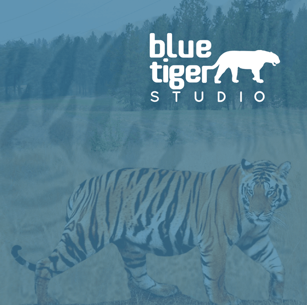 Blue Tiger Studio: full service website design, build and maintance