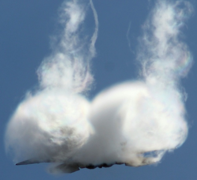 Bra | Swimwearandlingerie's Blog