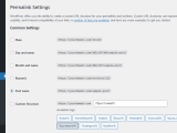How To Use The Wordpress Permalink Settings