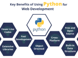 Python Development Services Trusted Python Development Company Botree