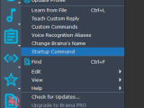 Startup Command Braina