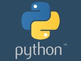 13 Motivos Para Aprender Python
