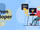 13 Motivos Para Aprender Python