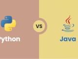Python E Java Qual é A Melhor Linguagem De Programação
