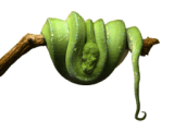 Python Byte Code Hacks Vijaykumar