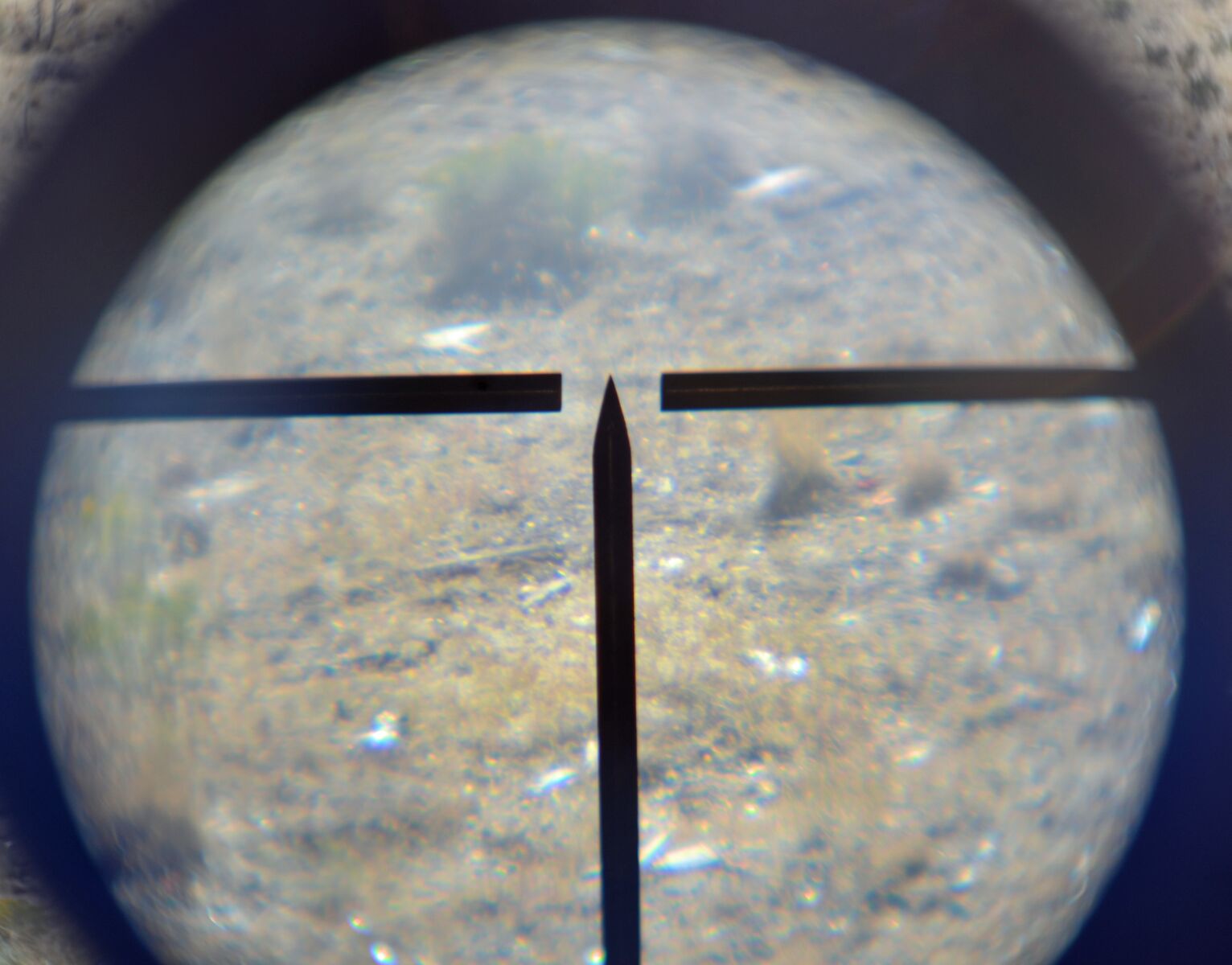 Mosin Nagant vs Japanese Type 38 & Mosin "Sniper Style" | Breach Bang Clear