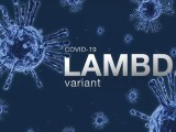 Here S What You Need To Know About Covid 19 Lambda Variant Affordable