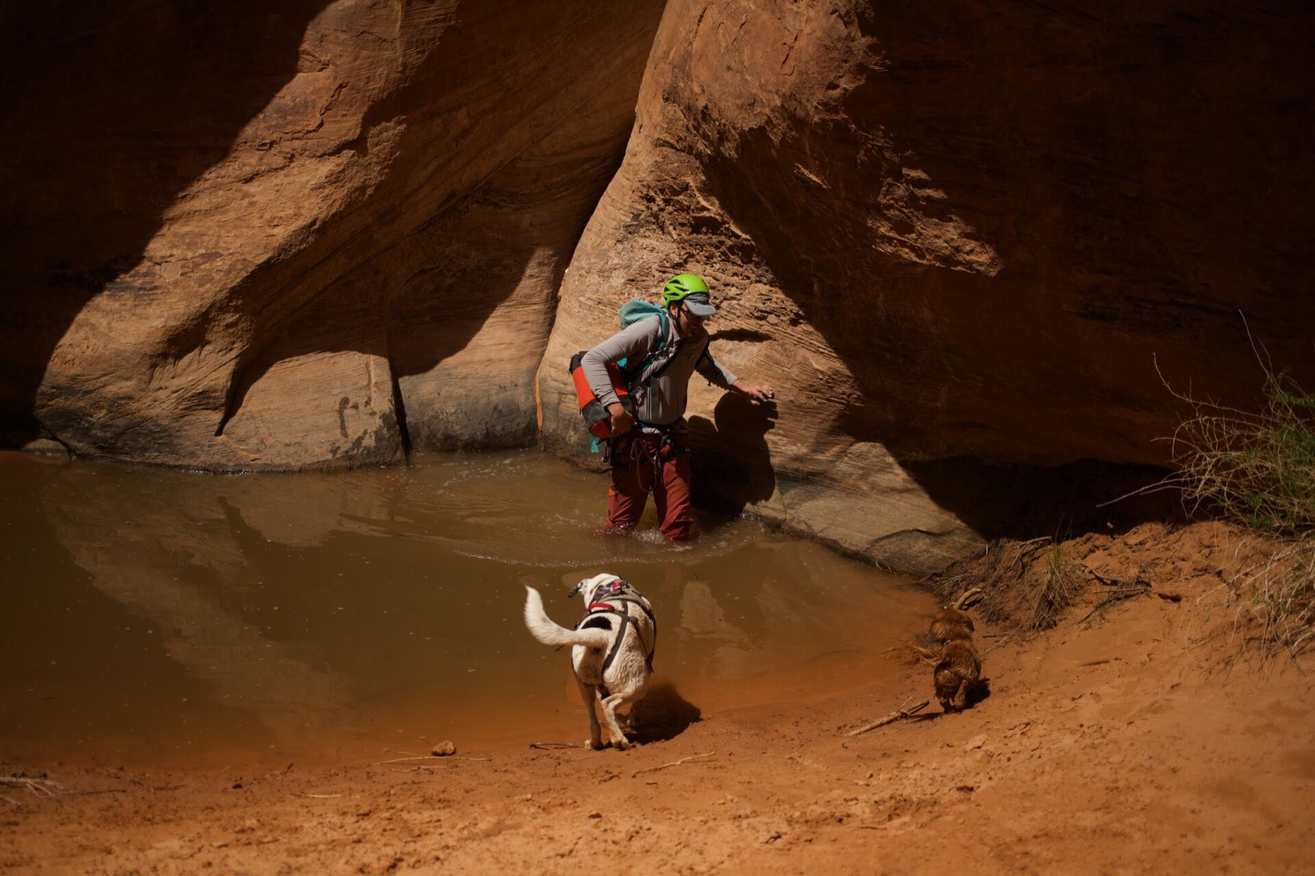 Brice Pollock » Rappelling Alongside Pool Arch