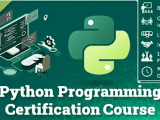 Python Programming Course Bright Eaglets Group Of Colleges