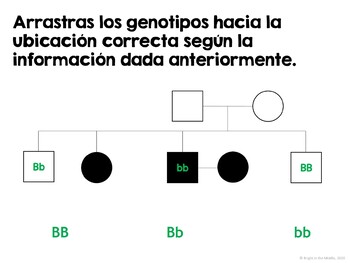 Genetics Unit Digital Interactive Lesson Bundle in ENGLISH AND SPANISH ...