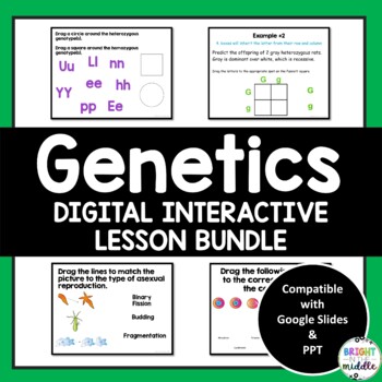 Genetics Unit - Incredible Interactive Lesson Bundle