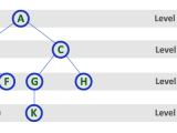 Tree Data Structure Master Hi Technology