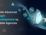 Inside Advanced Plugin Development By Bubble Agencies