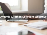 Xpath En Selenium Webdriver Tutorial Completo Tutorial