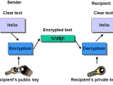 How To Encrypt And Decrypt The String In Java Without Using Any Algorithm