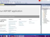 Angularjs Login Form With Asp Net