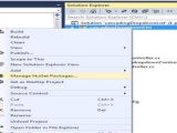 Angularjs Login Form With Asp Net